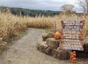 Puzzle Your Way Through a Corn Maze | Badger Peabody & Smith Realty