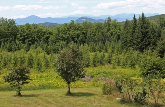 Denmark Homes for Sale | Denmark, ME Real Estate - Badger Peabody ...